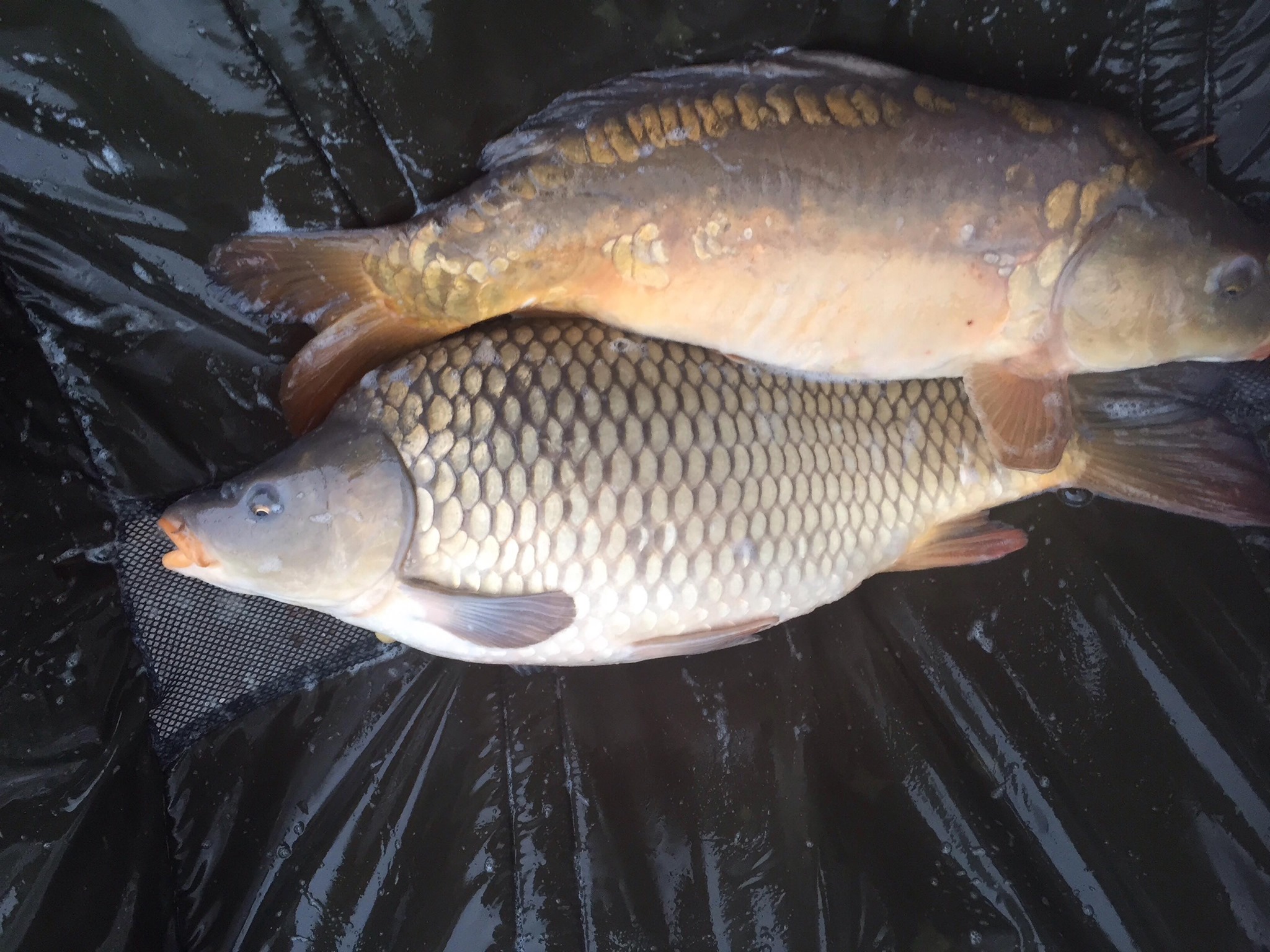 The Best Fishing Lakes in the UK (Our Top 11) – FisherVerse